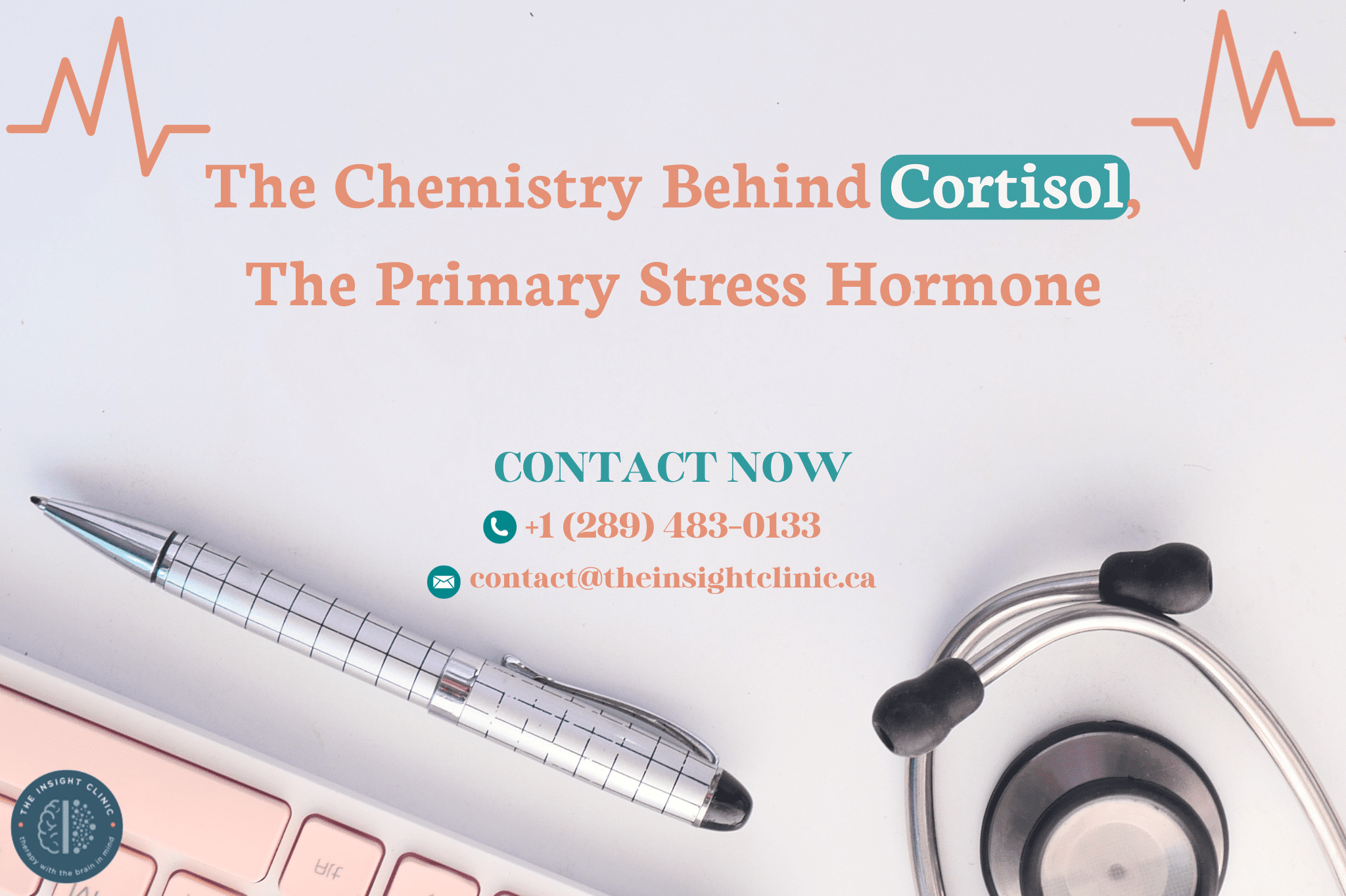 Chemistry Behind Cortisol, The Primary Stress Hormone